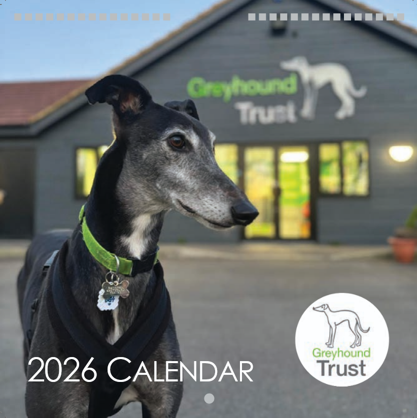 2026 Calendar - NEW – GreyHound Store